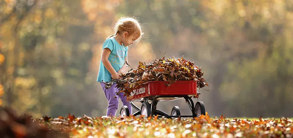 Top 10 Reasons Why We Love the Fall Season – Starfire Direct